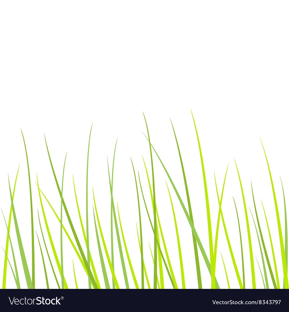 Grass - design element Royalty Free Vector Image