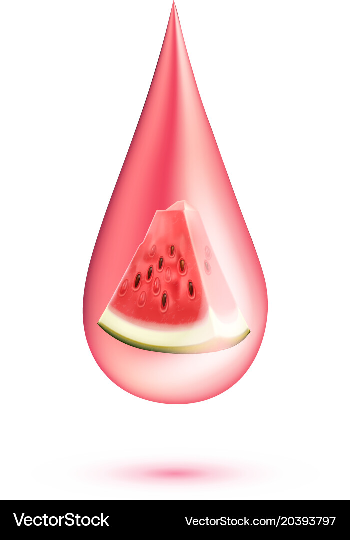 Realistic red watermelon in juice drop Royalty Free Vector