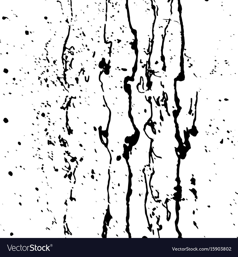 Black paint splashes Royalty Free Vector Image