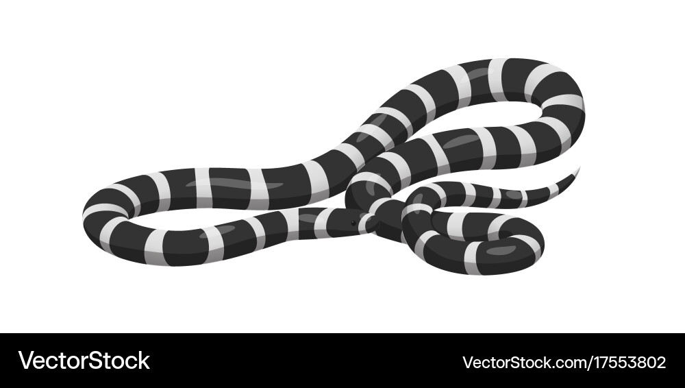 Slither banded sea krait snake icon Royalty Free Vector