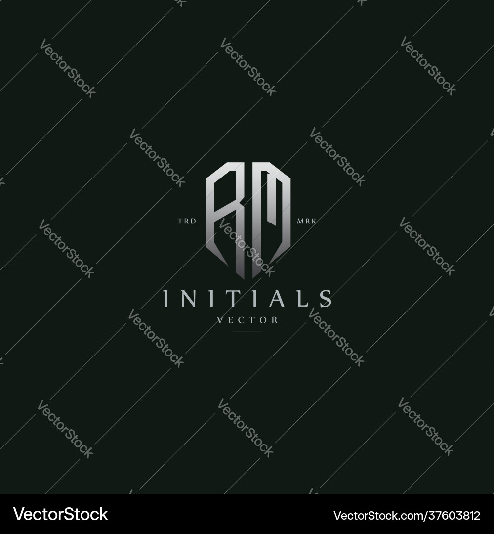 Classy rm vintage metal monogram logo elegant Vector Image