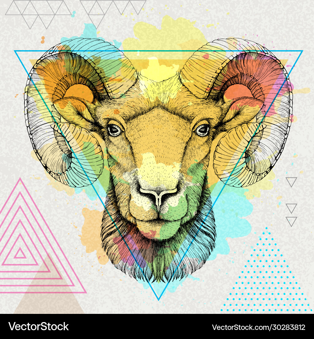 Hipster realistic animal ram or mouflon Royalty Free Vector