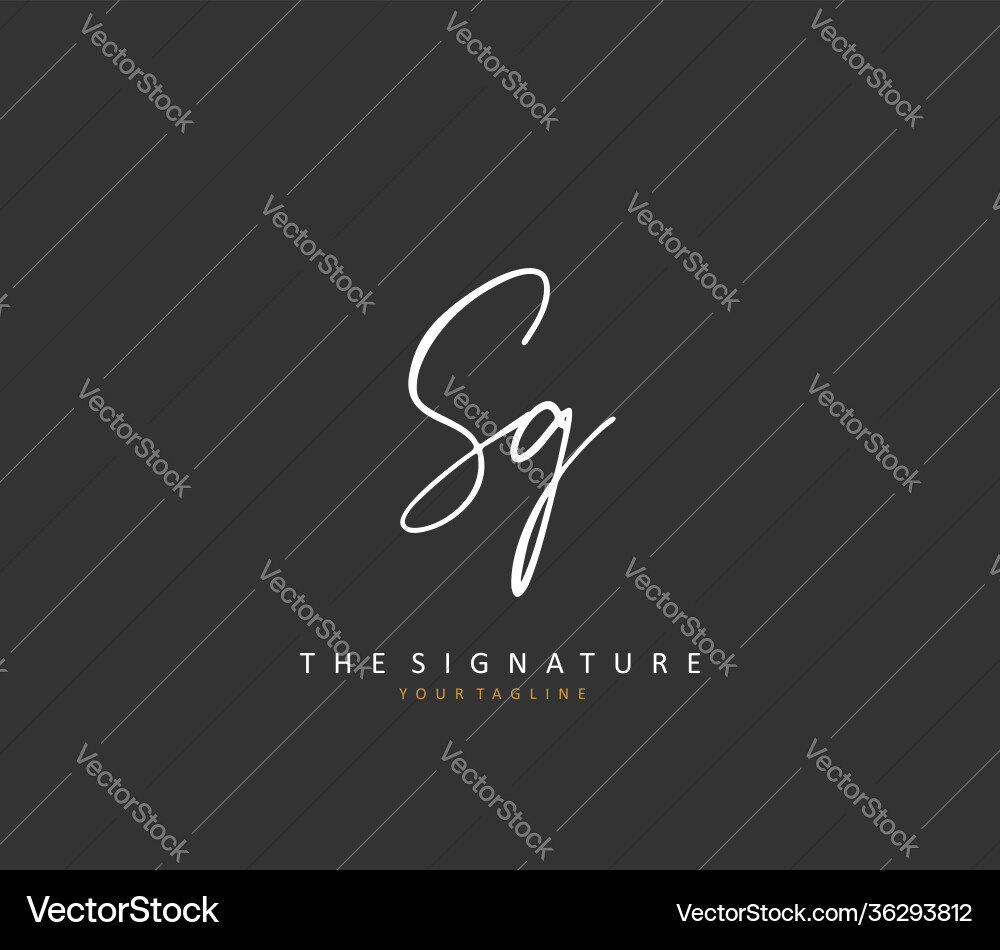 Sg initial letter handwriting and signature logo Vector Image