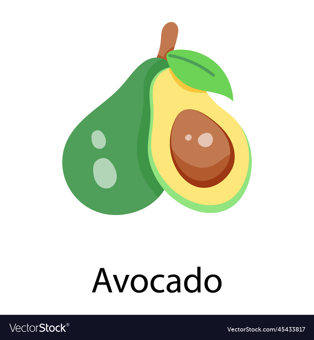 Avocado Royalty Free Vector Image - VectorStock