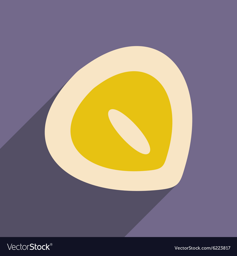 Flat with shadow icon and mobile application Vector Image