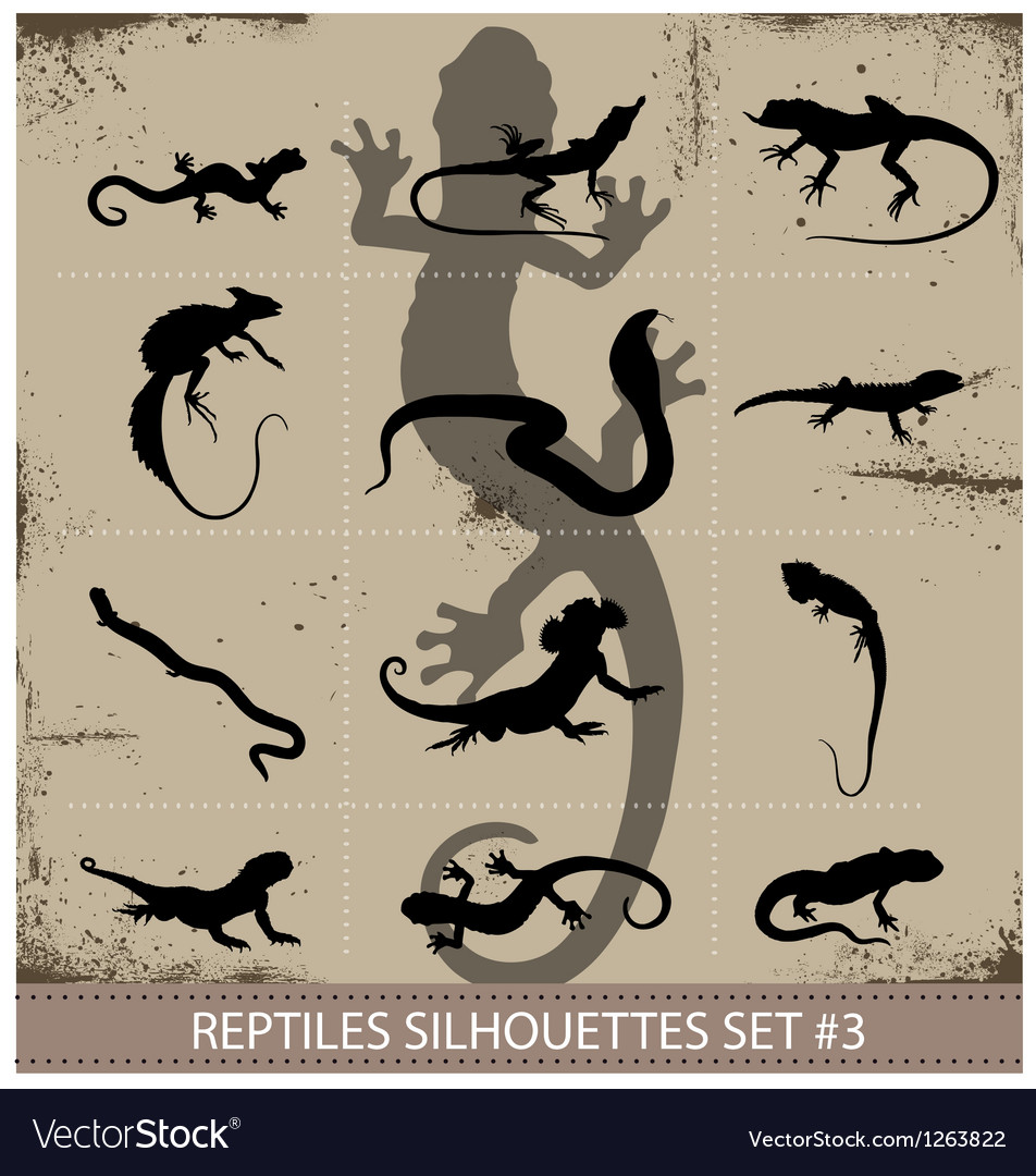 Big collection of reptiles silhouettes Royalty Free Vector