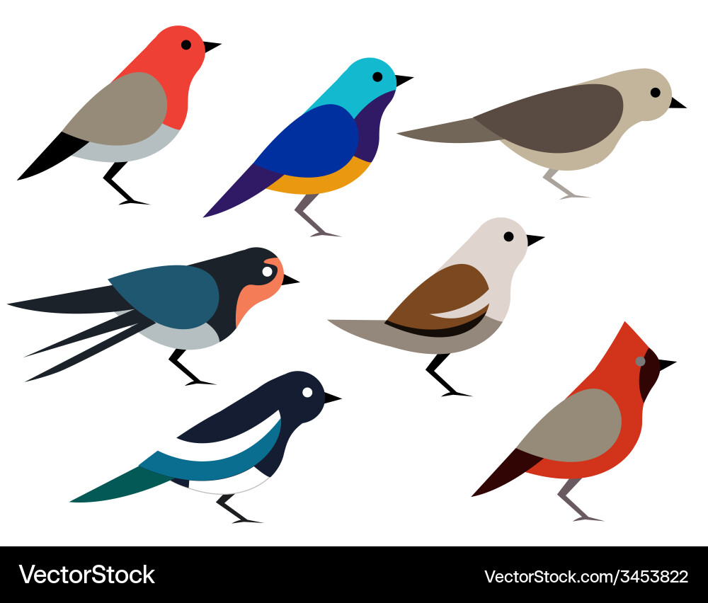 Set of birds design Royalty Free Vector Image - VectorStock