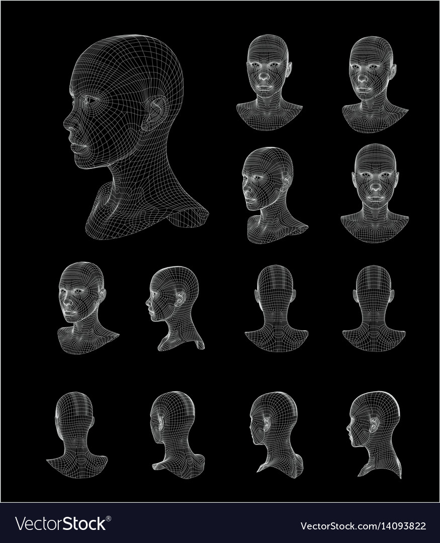 Wireframe head 3d model Royalty Free Vector Image
