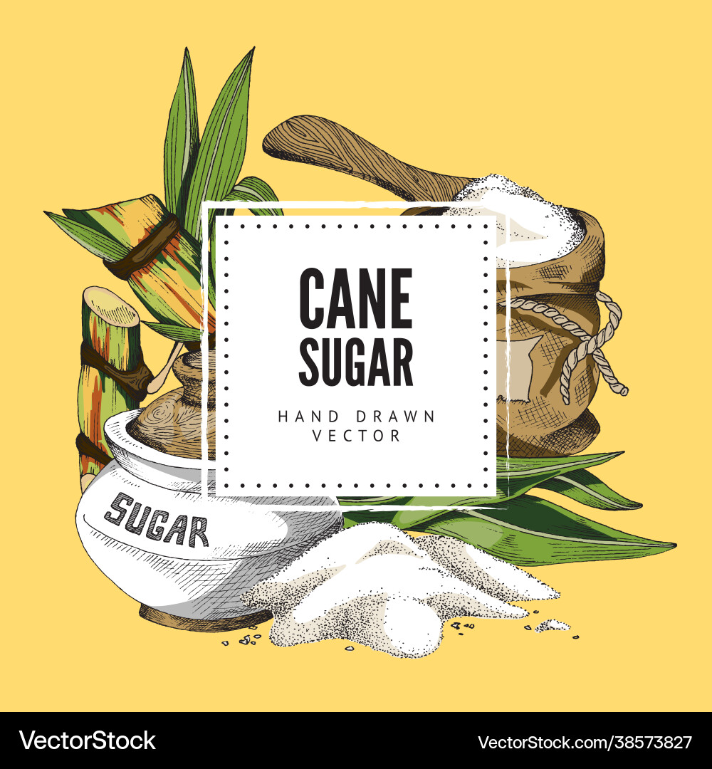 Cane sugar frame with label and sugar products Vector Image