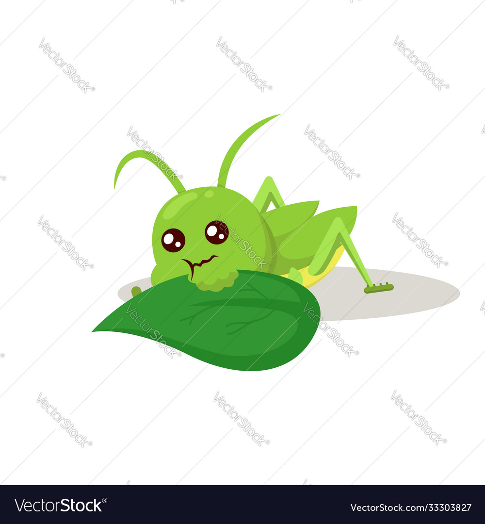 Grasshopper Royalty Free Vector Image - VectorStock