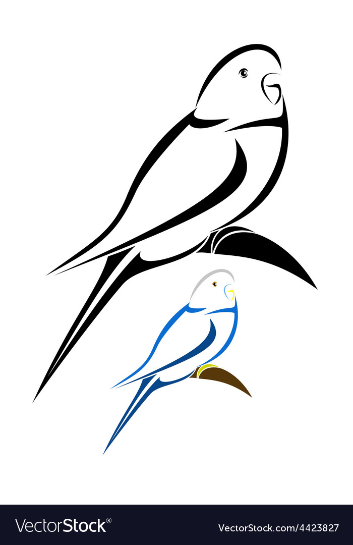 Parakeet Royalty Free Vector Image - VectorStock