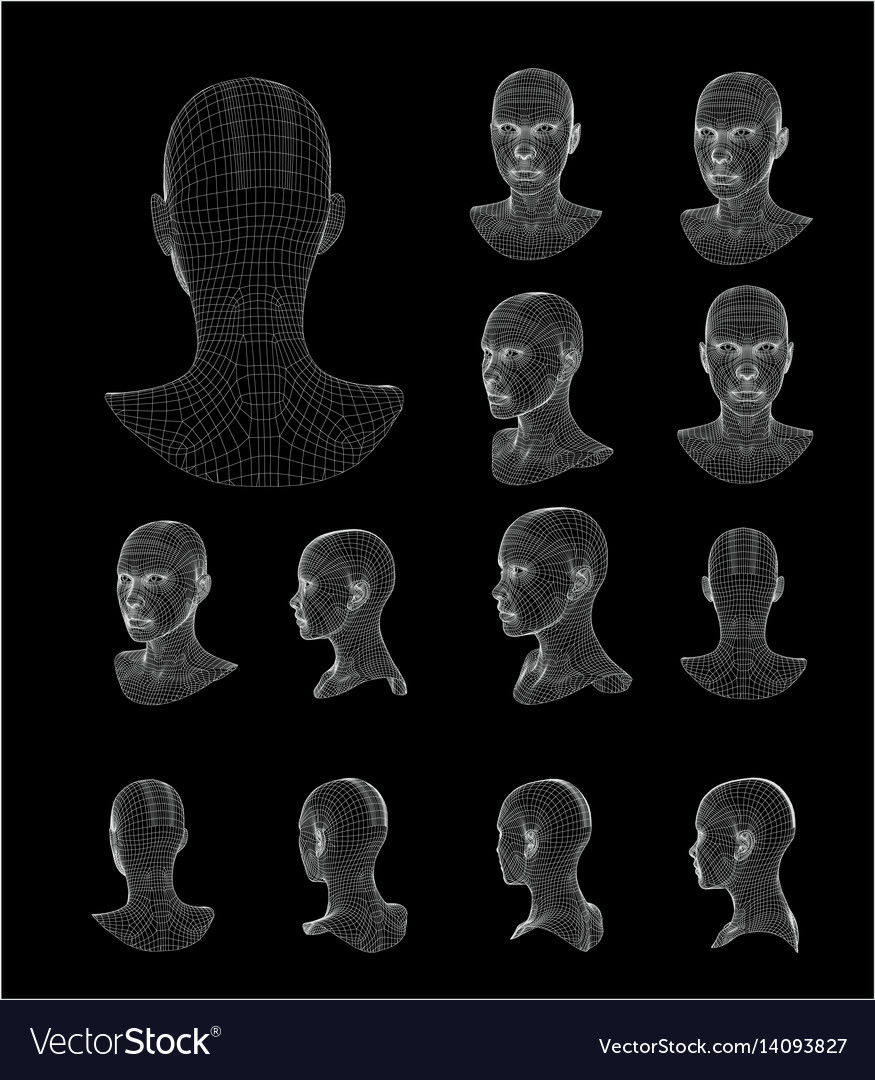 Wireframe head 3d model Royalty Free Vector Image Wireframe head 3d model Royalty Free Vector Image