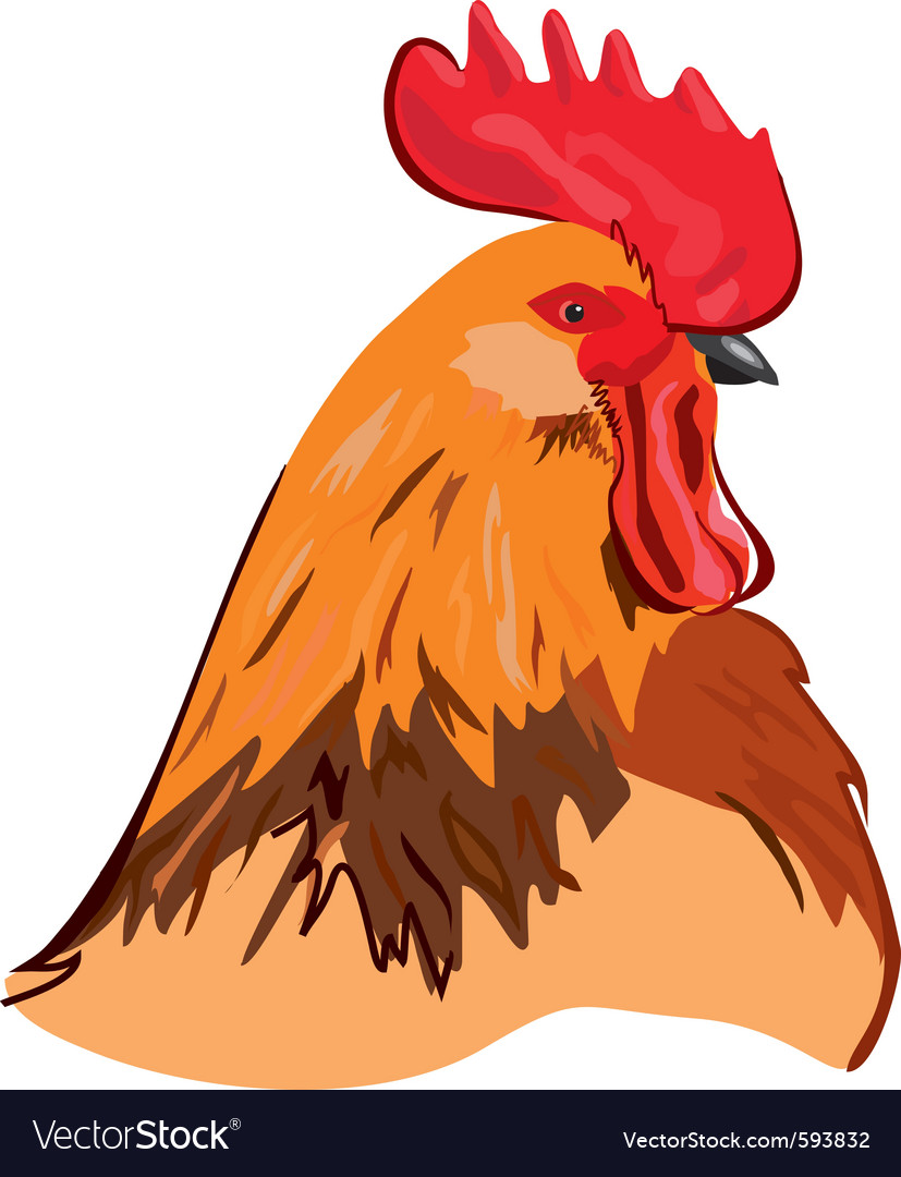 Chicken Royalty Free Vector Image - VectorStock
