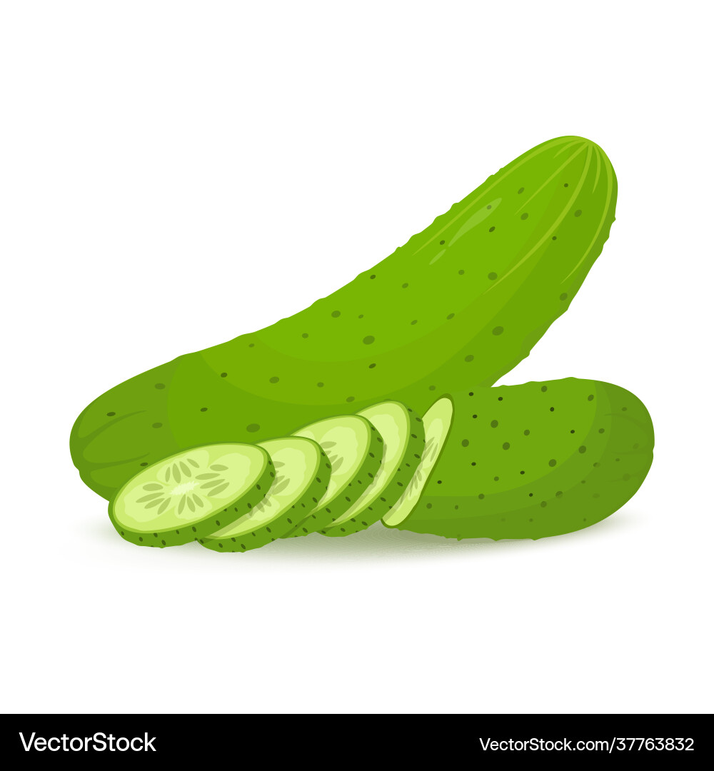Cucumbers in flat style whole cucumber and slices Vector Image
