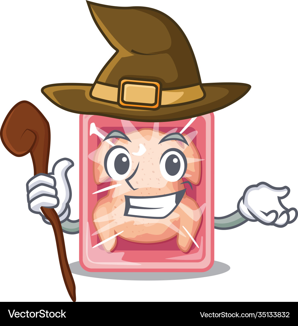 Frozen chicken sneaky and tricky witch cartoon Vector Image