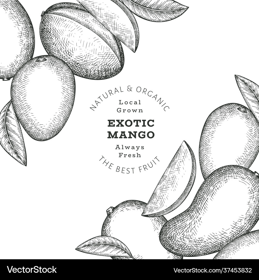 Hand drawn sketch style mango banner organic Vector Image