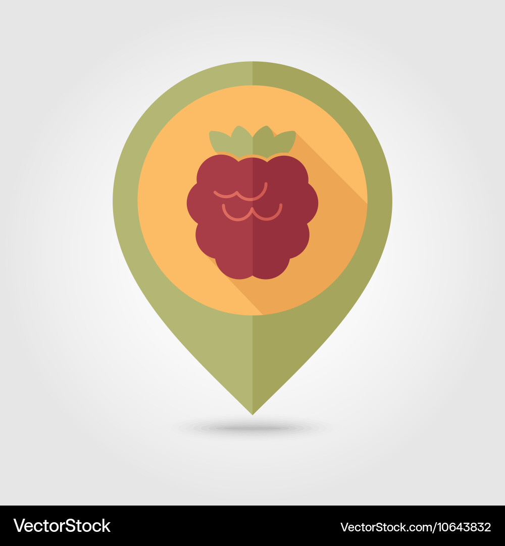 Raspberry flat pin map icon berry fruit Royalty Free Vector
