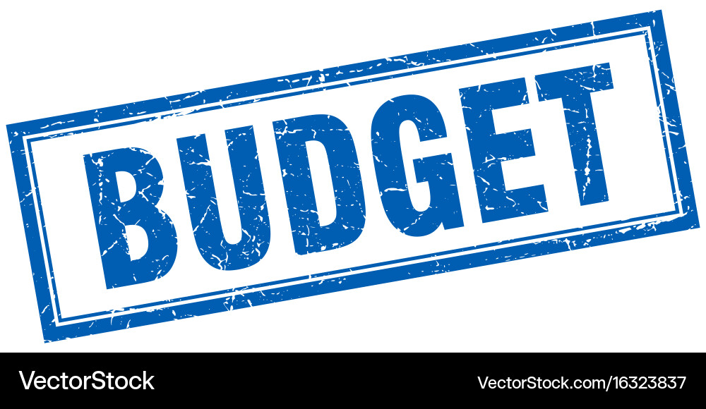 Budget blue square grunge stamp on white Vector Image