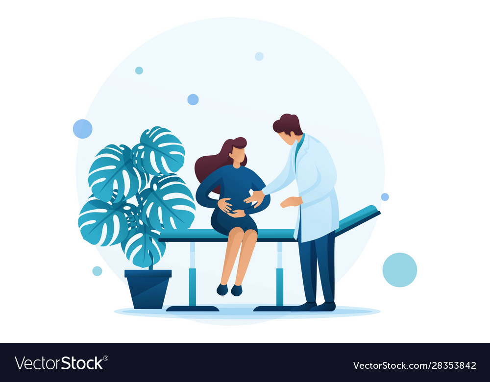 Gynecologist examines a pregnant woman flat 2d Vector Image