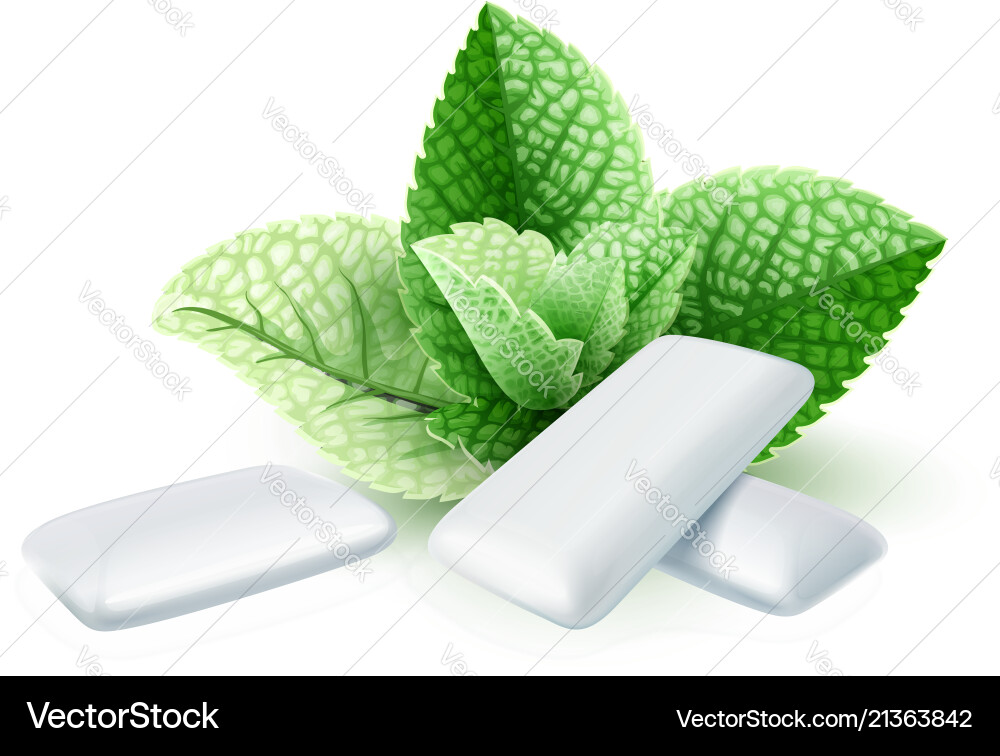 Pads of bubble gum with mint Royalty Free Vector Image