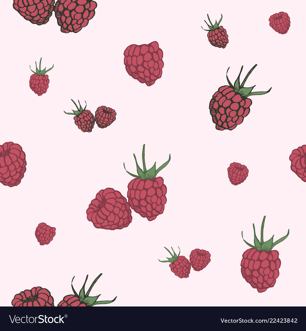 Raspberry seamless pattern Royalty Free Vector Image