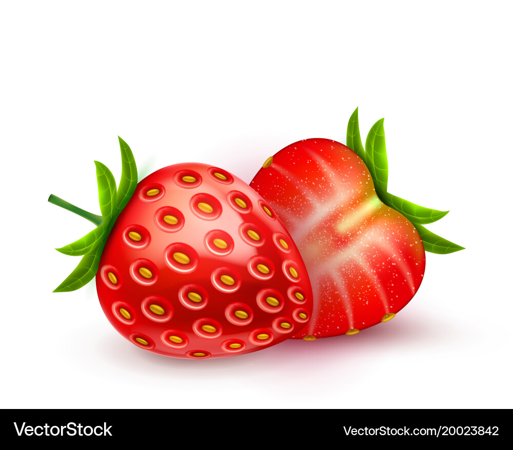 Realistic detailed strawberry with slice Vector Image