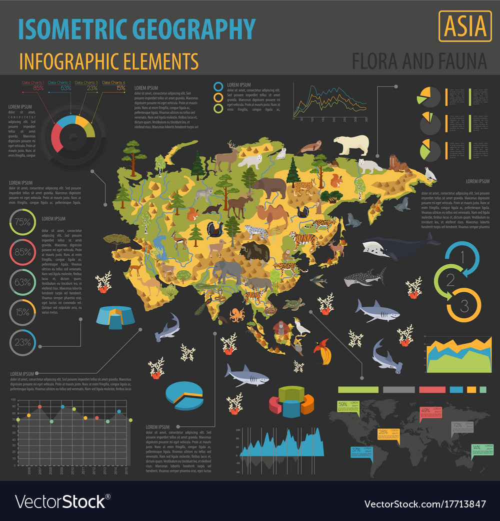Isometric 3d asian flora and fauna map Royalty Free Vector