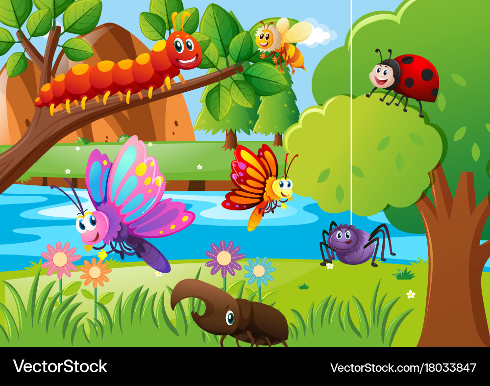 Many insects in garden Royalty Free Vector Image