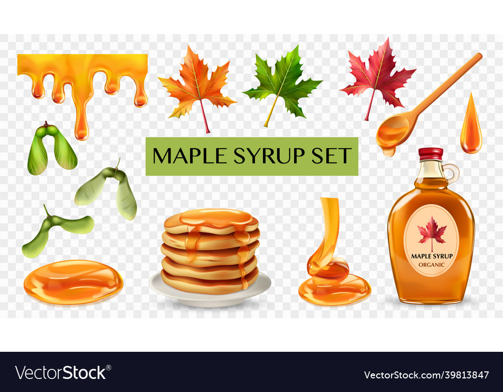 Maple syrup set Royalty Free Vector Image - VectorStock