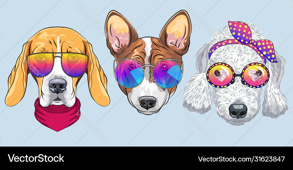 Set 6 cartoon dogs Royalty Free Vector Image - VectorStock