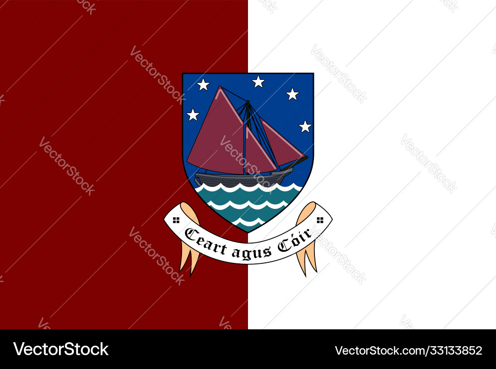 Flag county galway in ireland Royalty Free Vector Image
