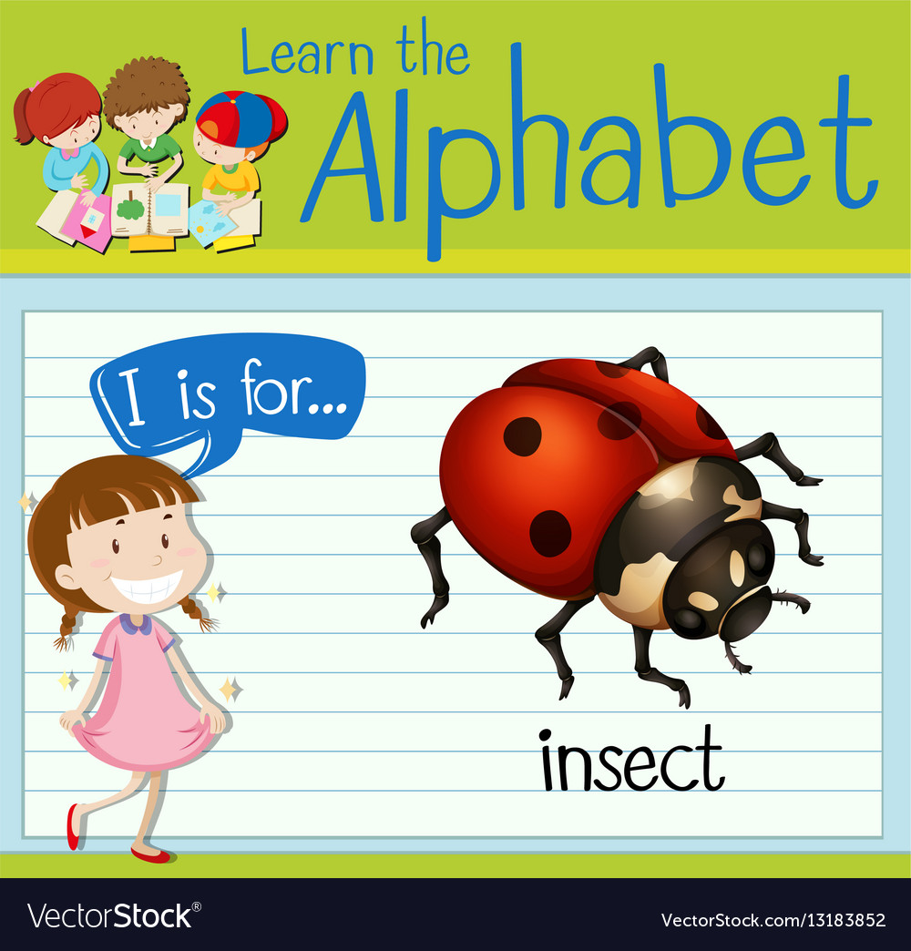 Flashcard letter i is for insect Royalty Free Vector Image
