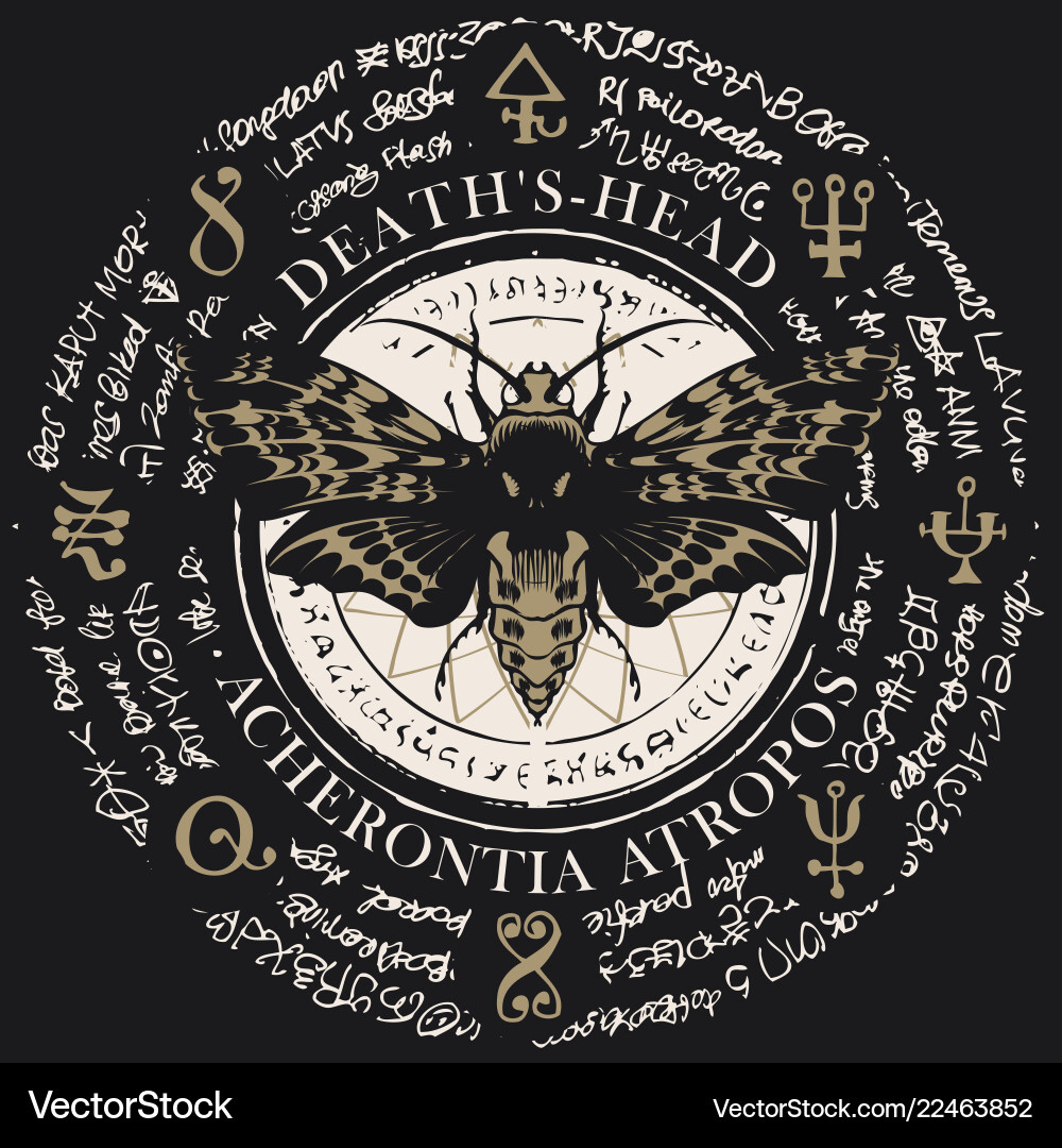 Mole acherontia atropos with old magic symbols Vector Image