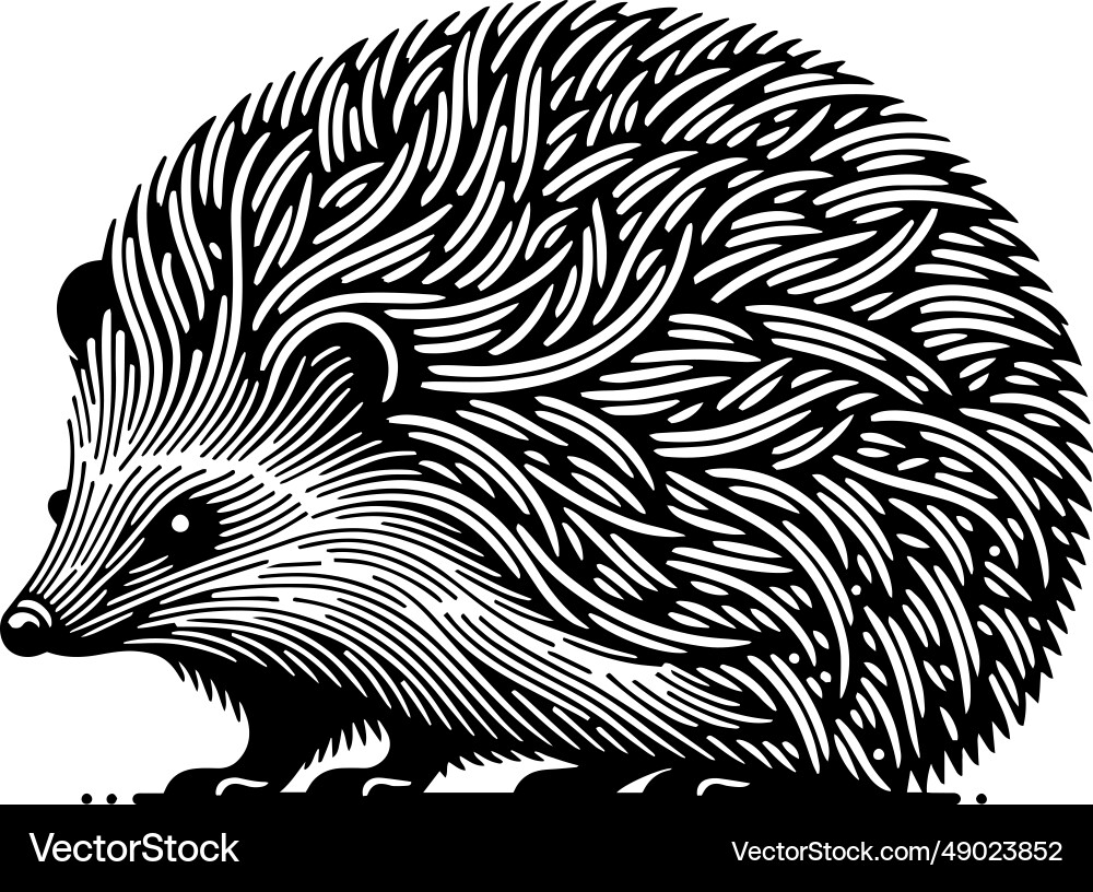Sleek contemporary hedgehog outline Royalty Free Vector