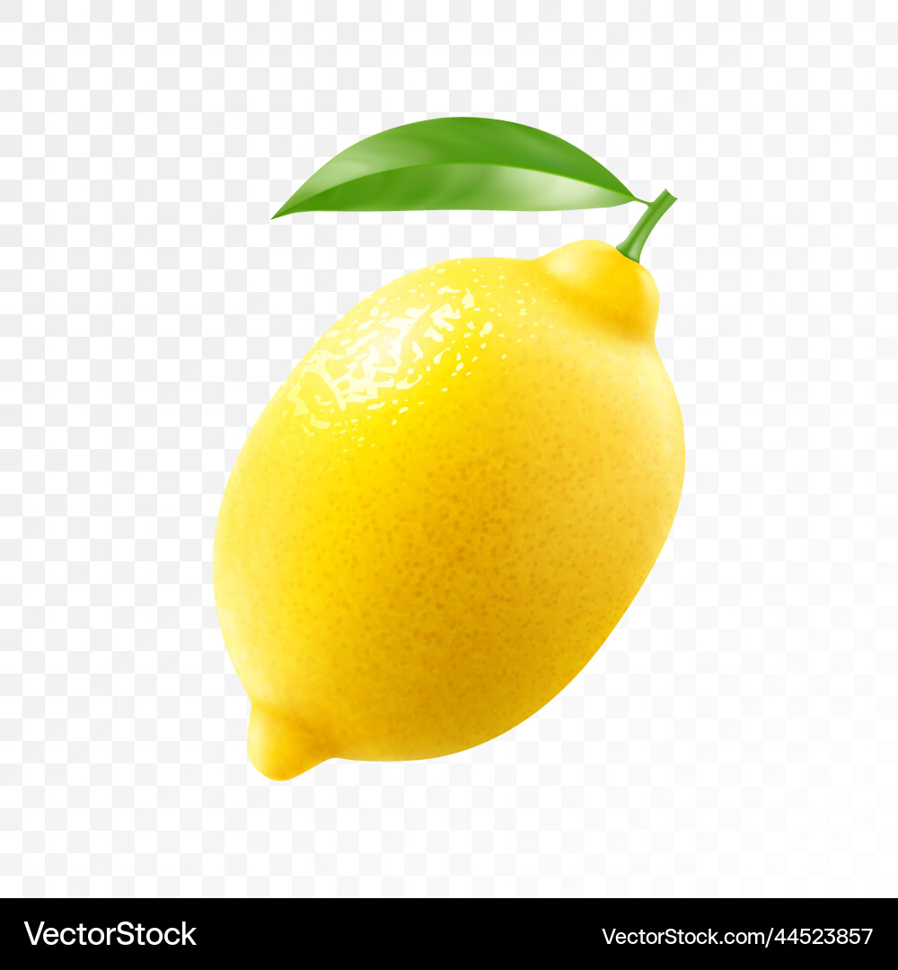 Fresh lemon with green leaf isolated Royalty Free Vector