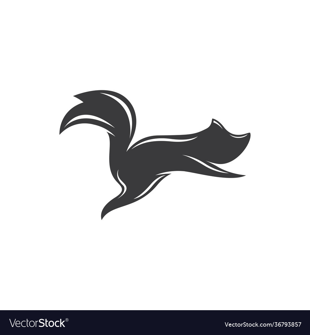 Squirrel Royalty Free Vector Image - VectorStock