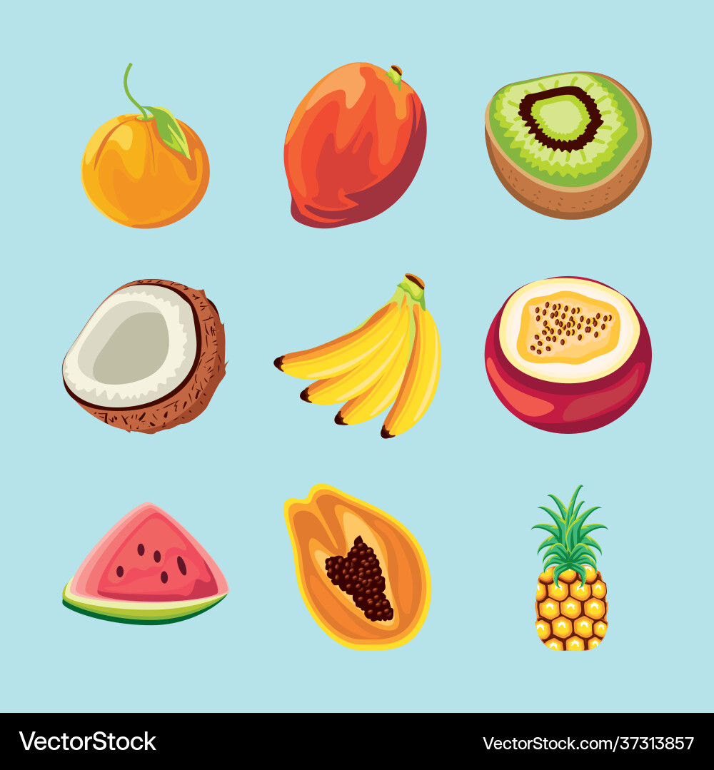 Tropical fruits set Royalty Free Vector Image - VectorStock