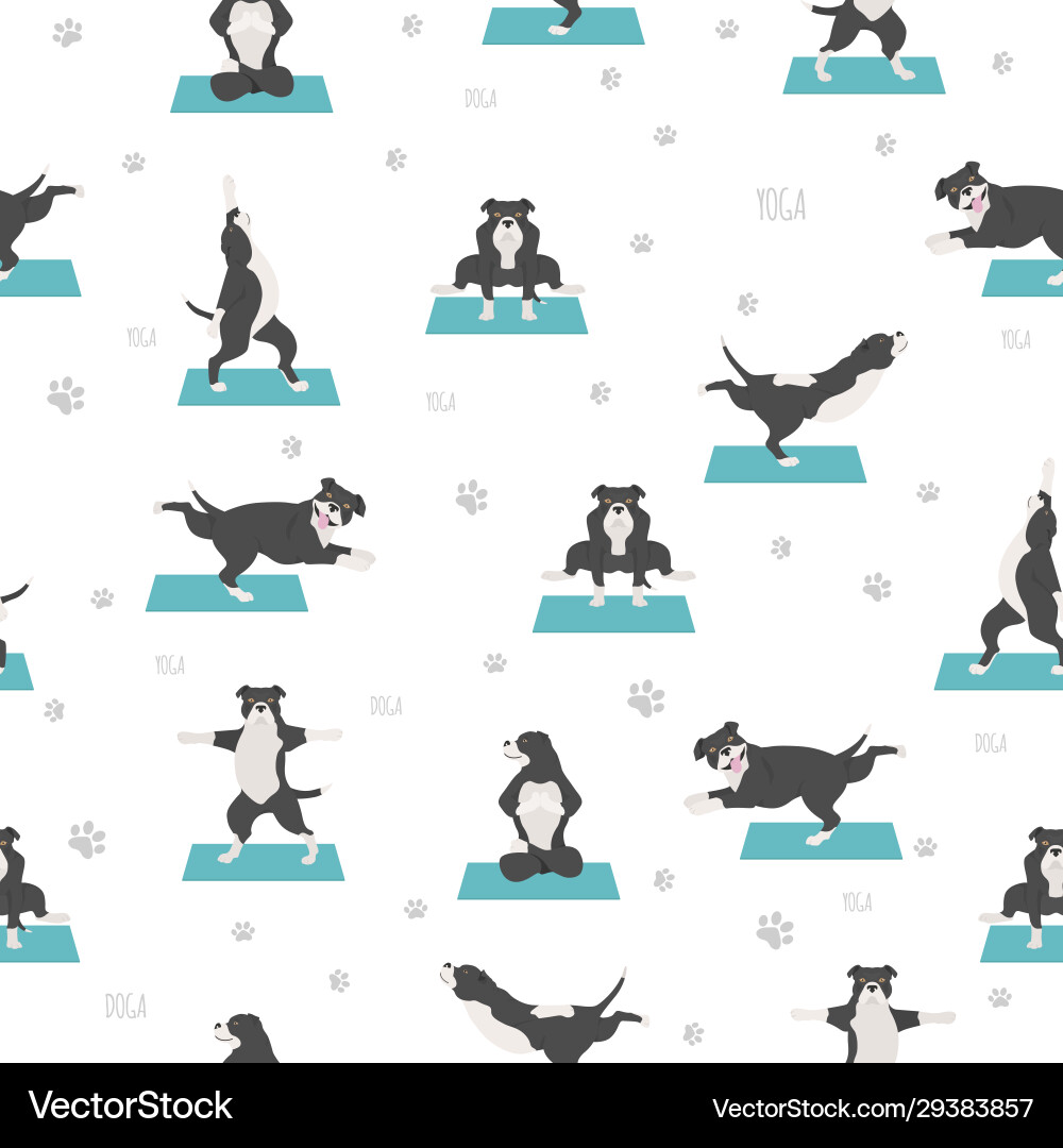 Yoga dogs poses and exercises seamless pattern Vector Image