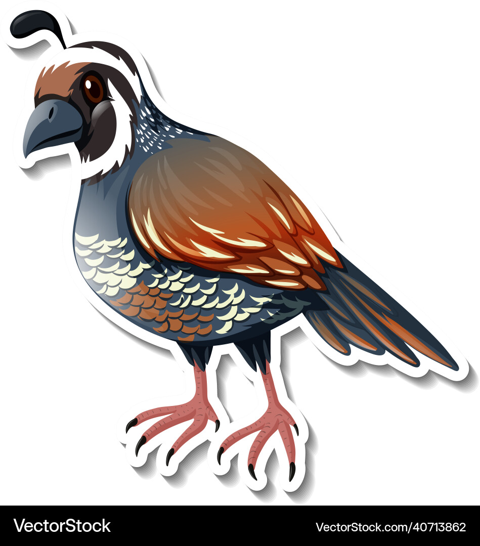 Bird animal cartoon sticker Royalty Free Vector Image