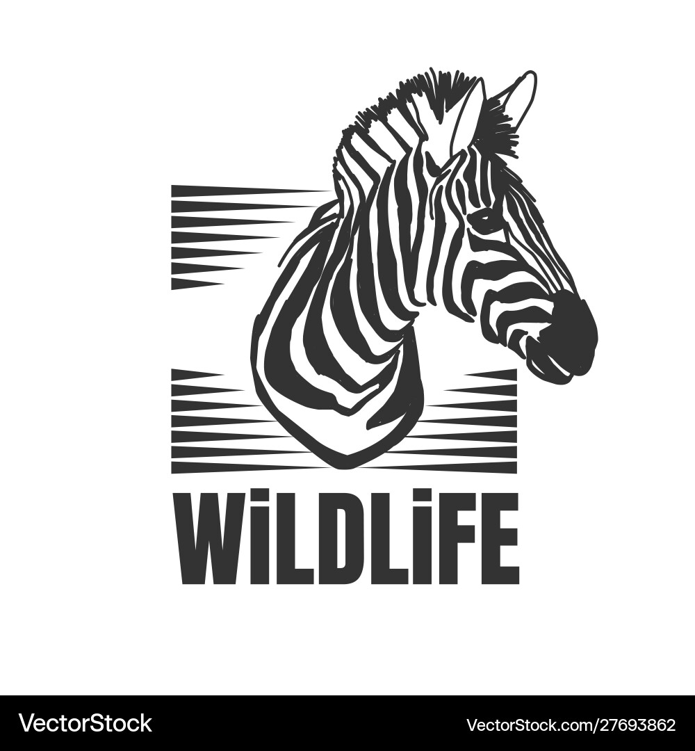 Hand drawn zebra with wildlife text isolated Vector Image