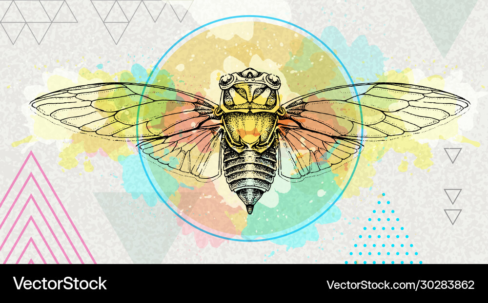Realistic cicada on artistic watercolor background