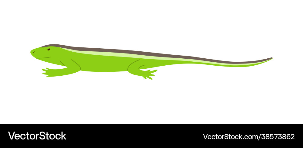 Side view green lizard with stripes on back Vector Image