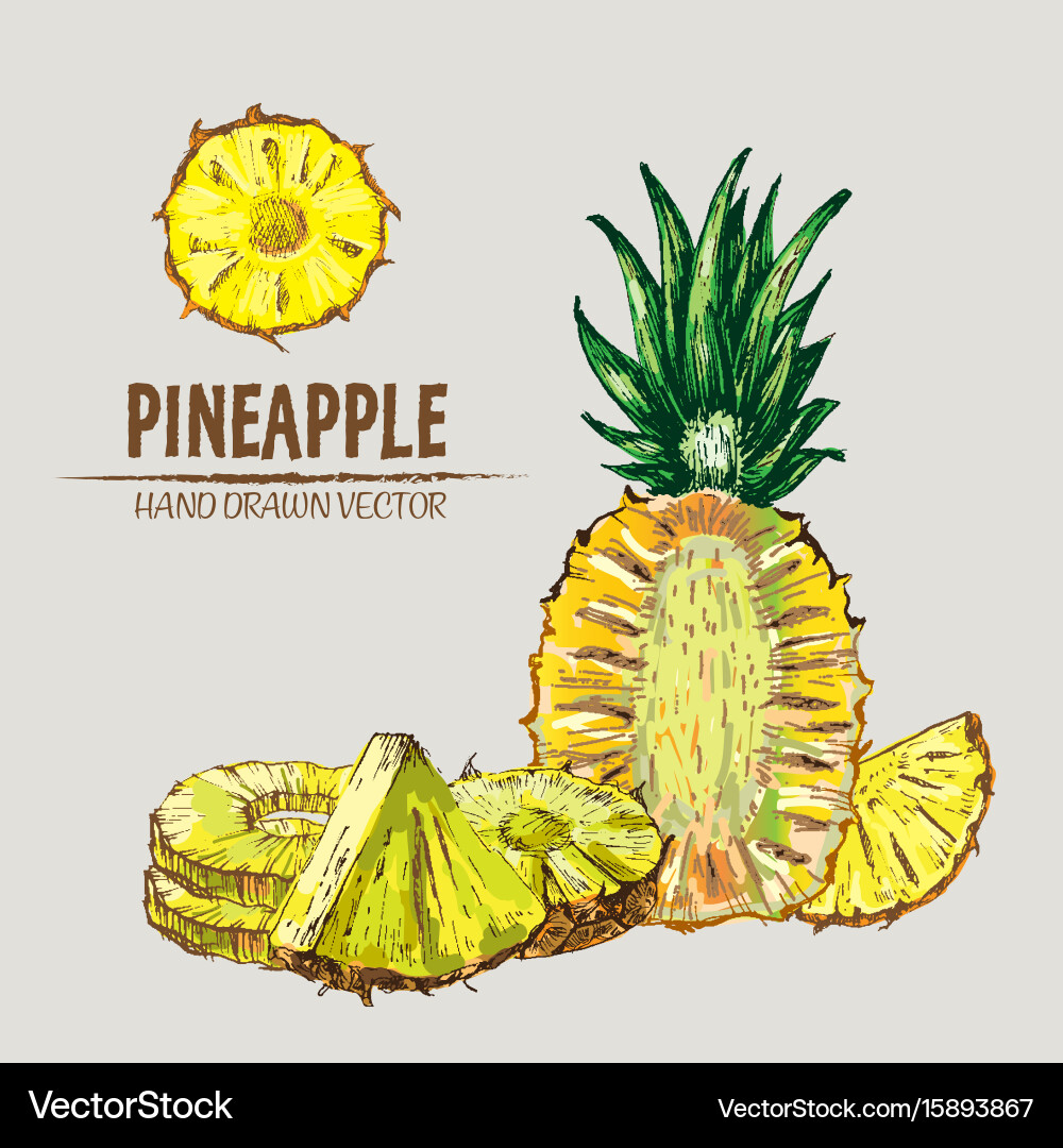 Digital detailed line art color Royalty Free Vector Image
