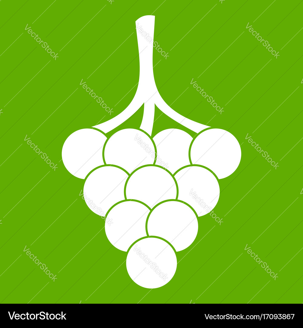 Grapes on the branch icon green Royalty Free Vector Image