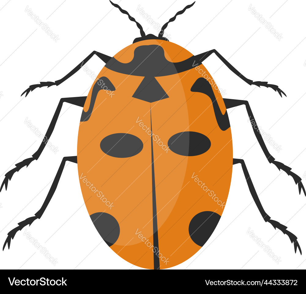 Orange ladybug on a white background Royalty Free Vector
