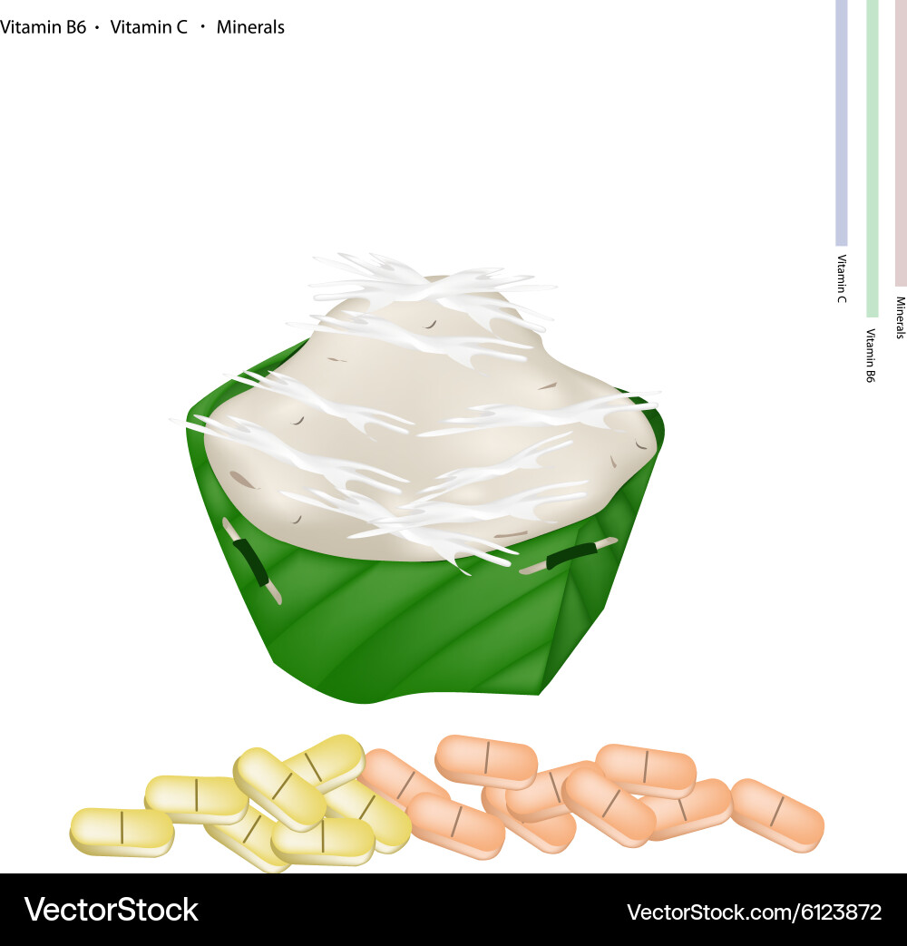 Thai banana pudding with vitamin b6 and c Vector Image