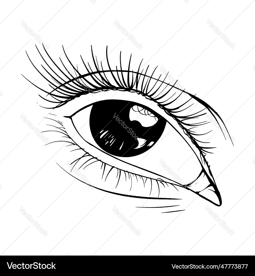 Beautiful hand drawn sketch eye line art Vector Image