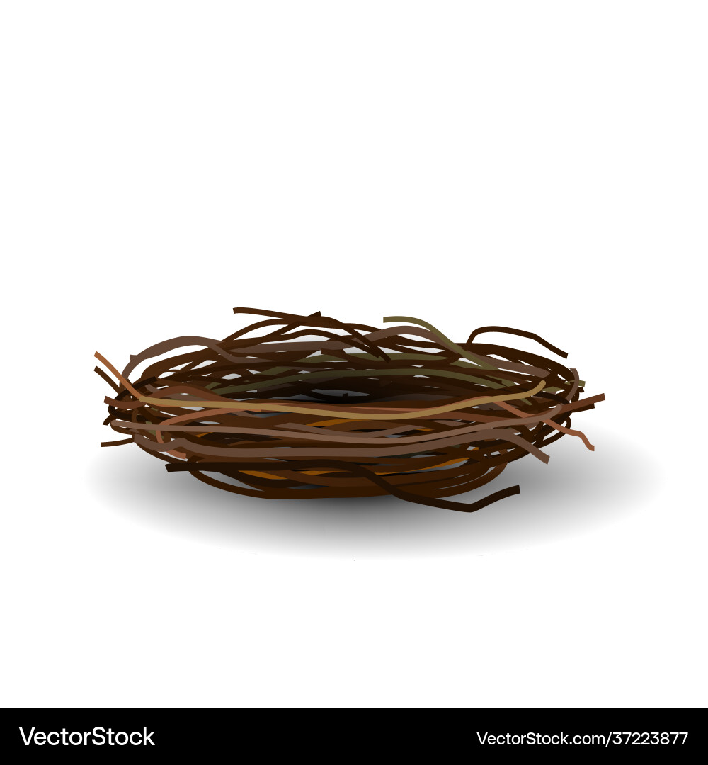 Birds nest isolated on white background for your Vector Image