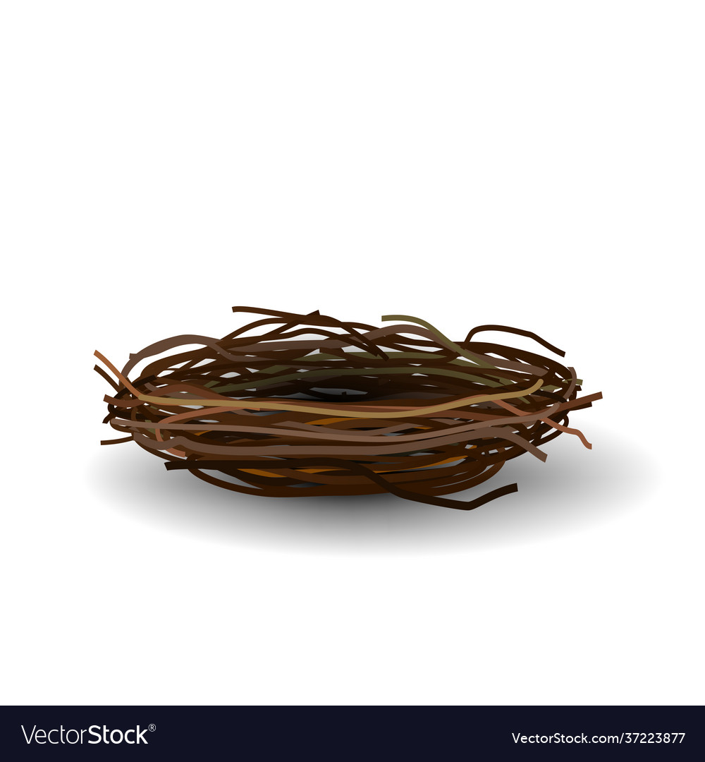 Birds nest isolated on white background Royalty Free Vector