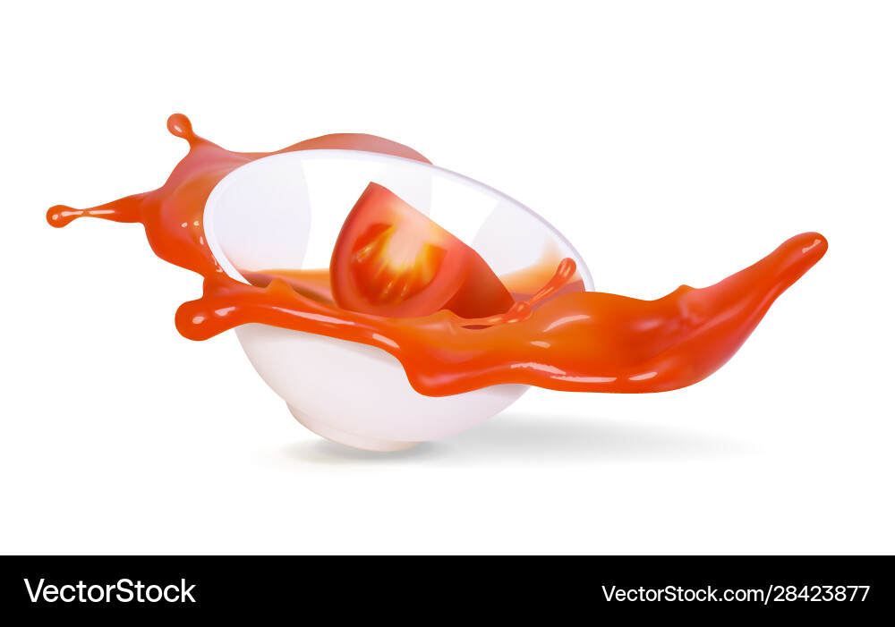 Tomato sauce in a plate with a slice Royalty Free Vector